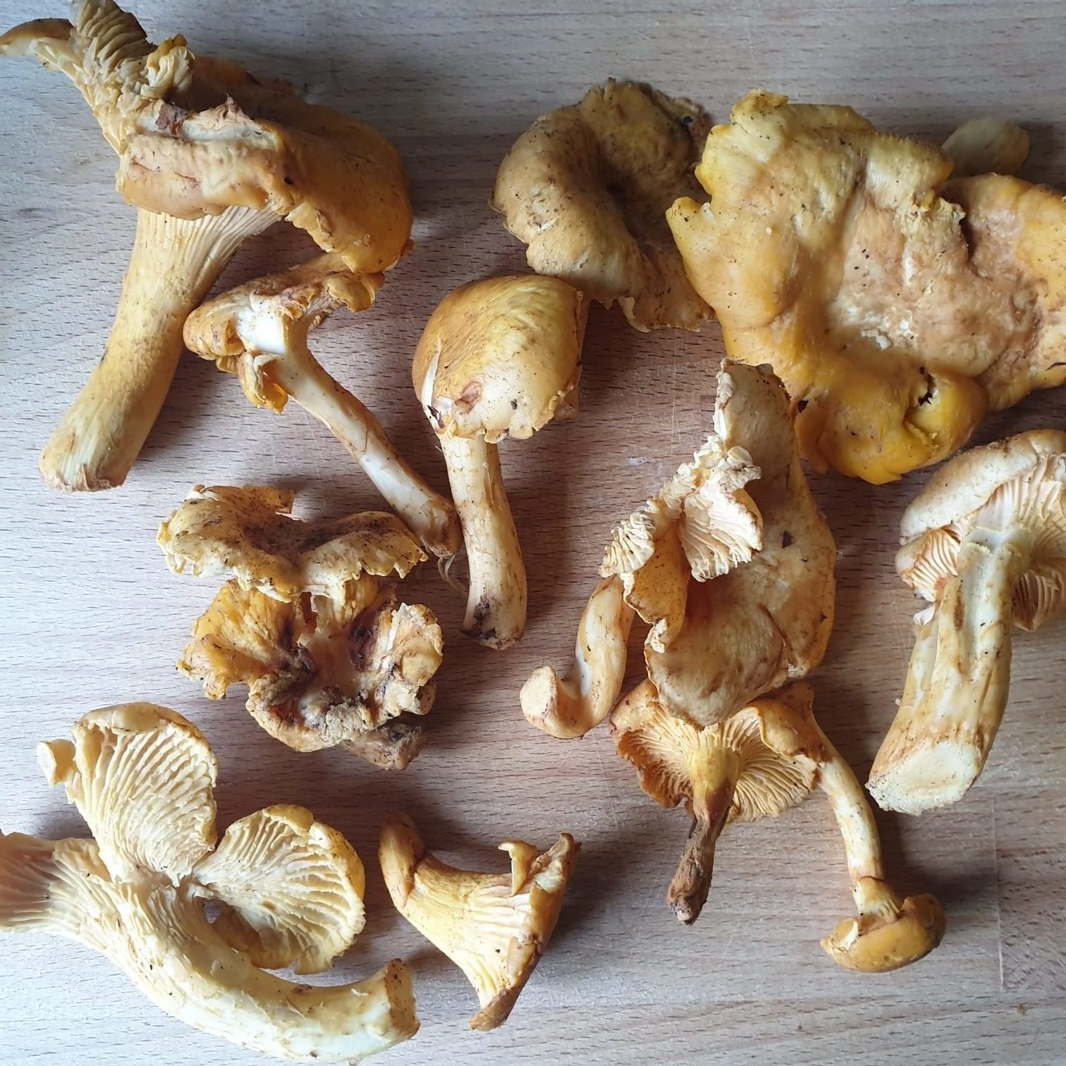 Gezond & Slank met Keto Recepten - Vegetarisch - Frittata met cantharellen